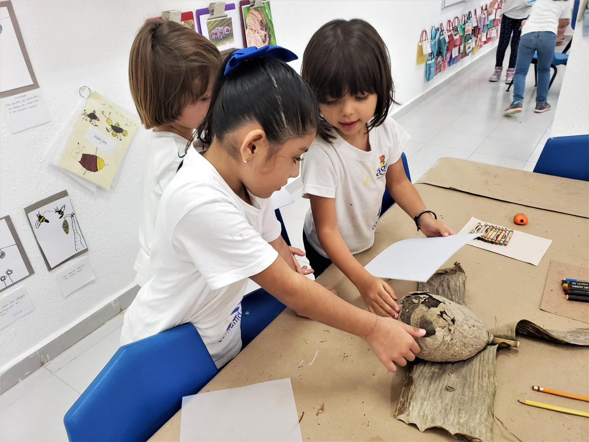 Nivel: Preescolar - Agora-Comunidad Educativa